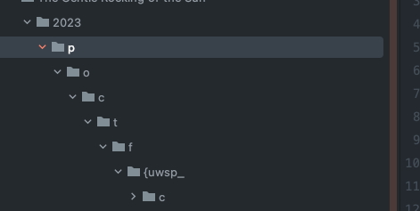 UWSP Pointer Overflow CTF-Writeup - Joooook's Blog